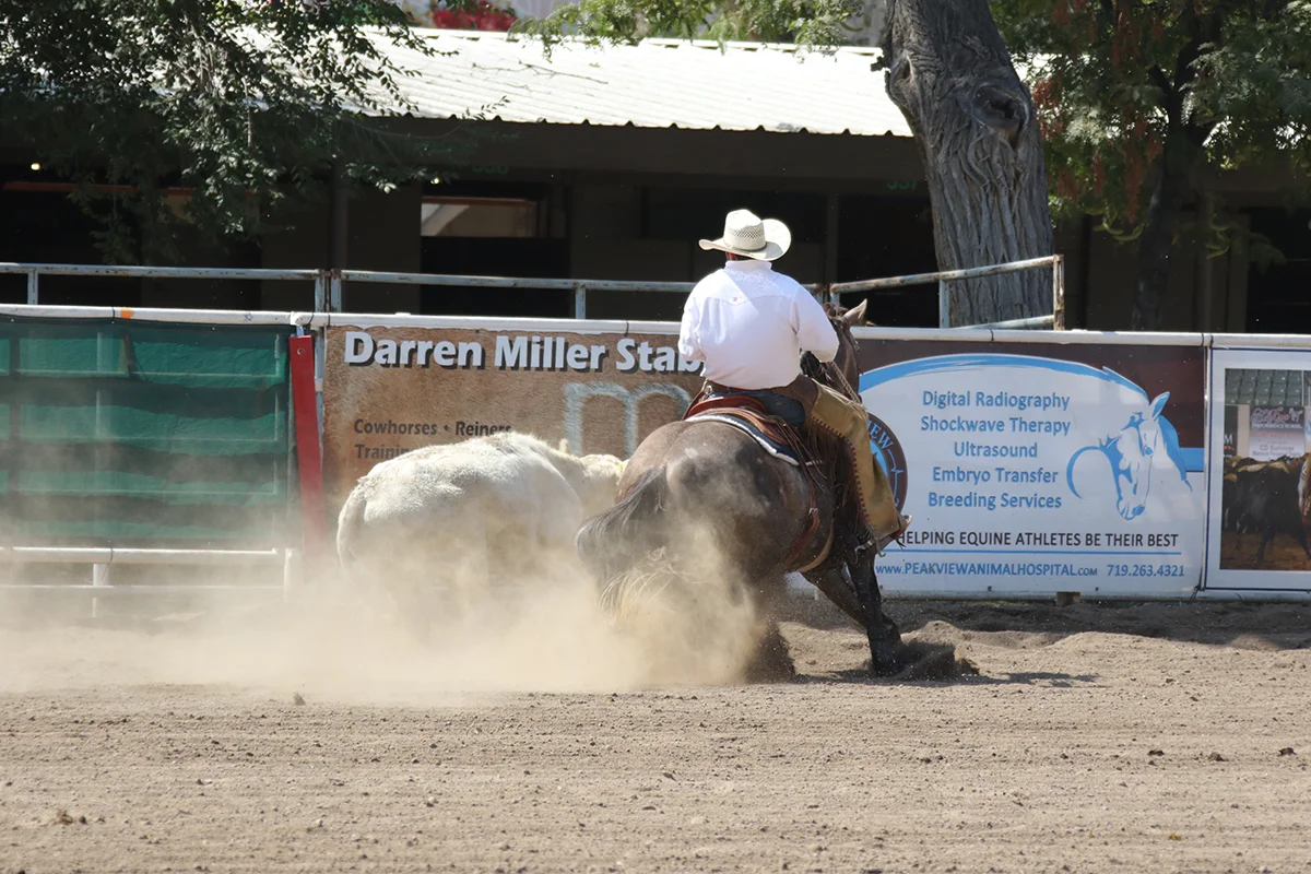 Performance Horses — R.A. Brown Ranch