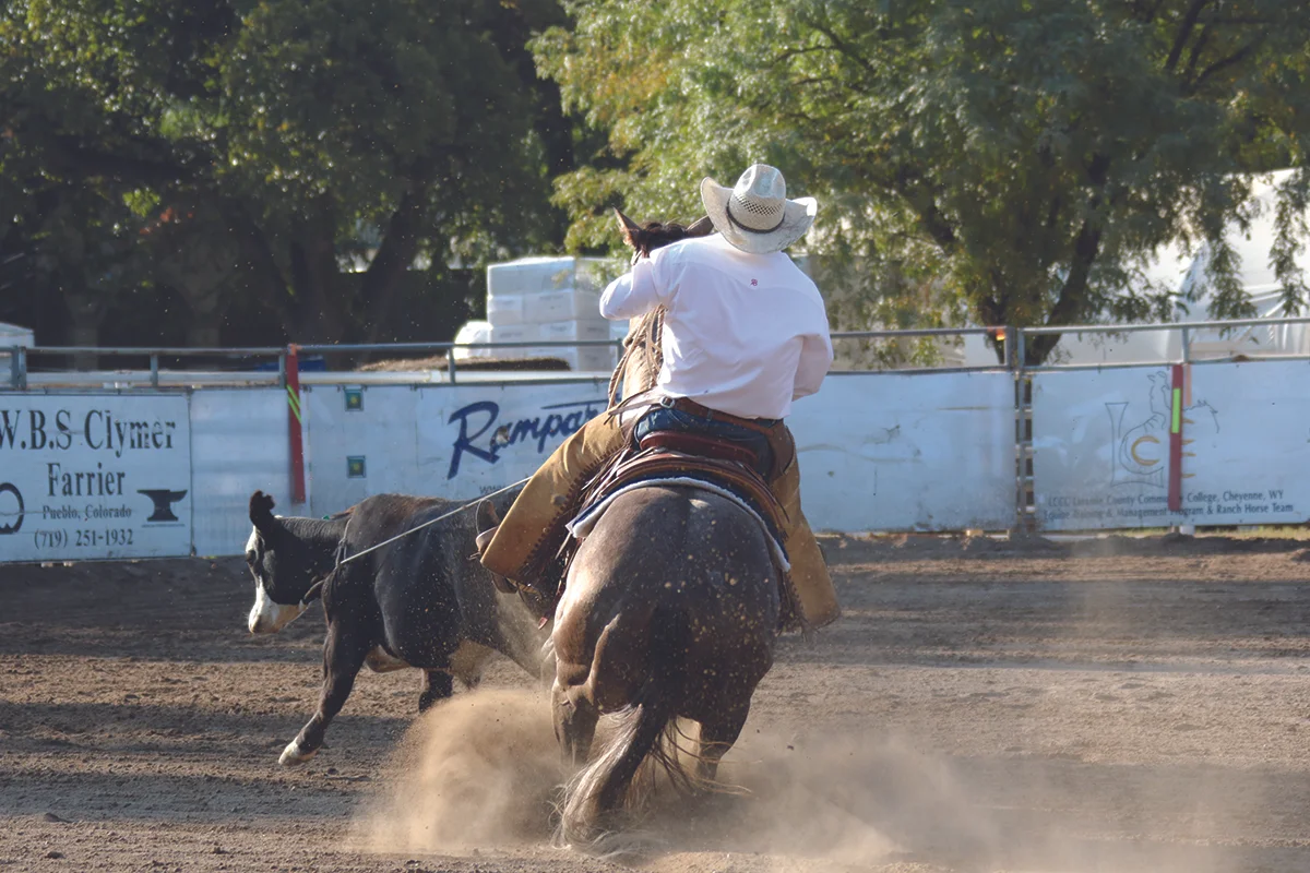 Performance Horses — R.A. Brown Ranch