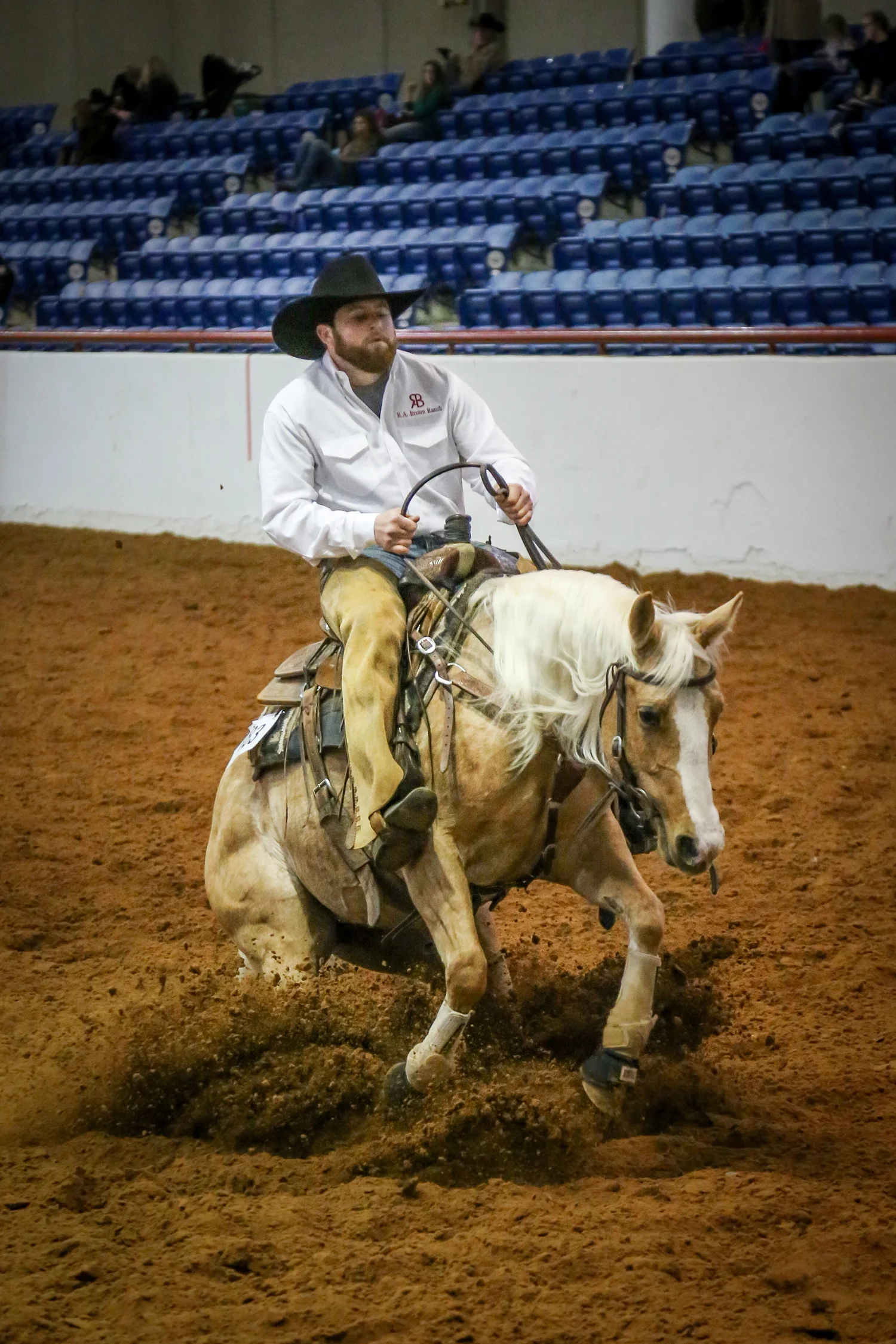 Featured Broodmares — R.A. Brown Ranch