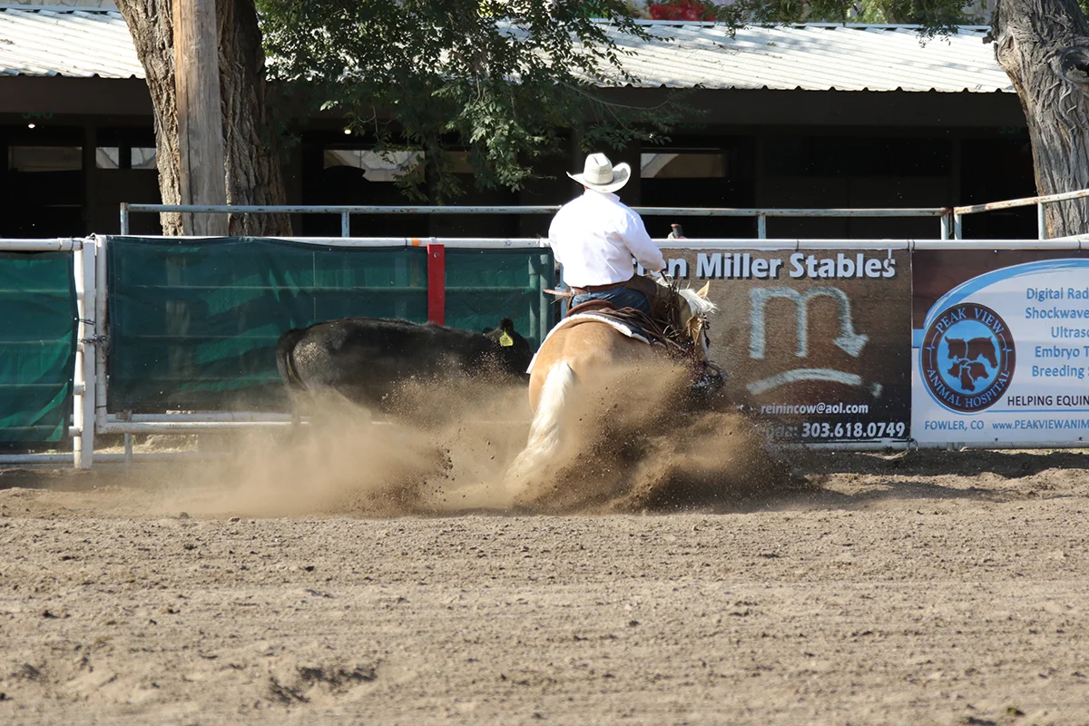 Featured Broodmares — R.A. Brown Ranch