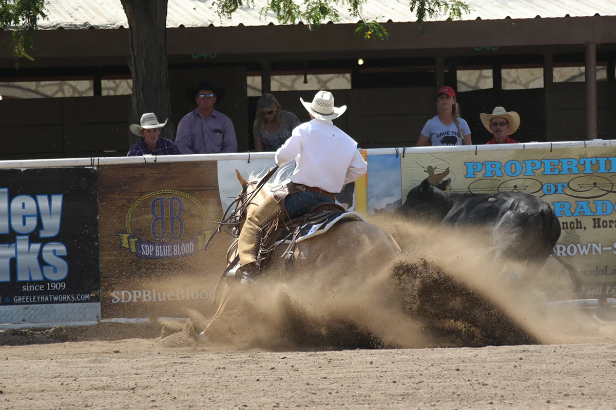 Featured Broodmares — R.A. Brown Ranch