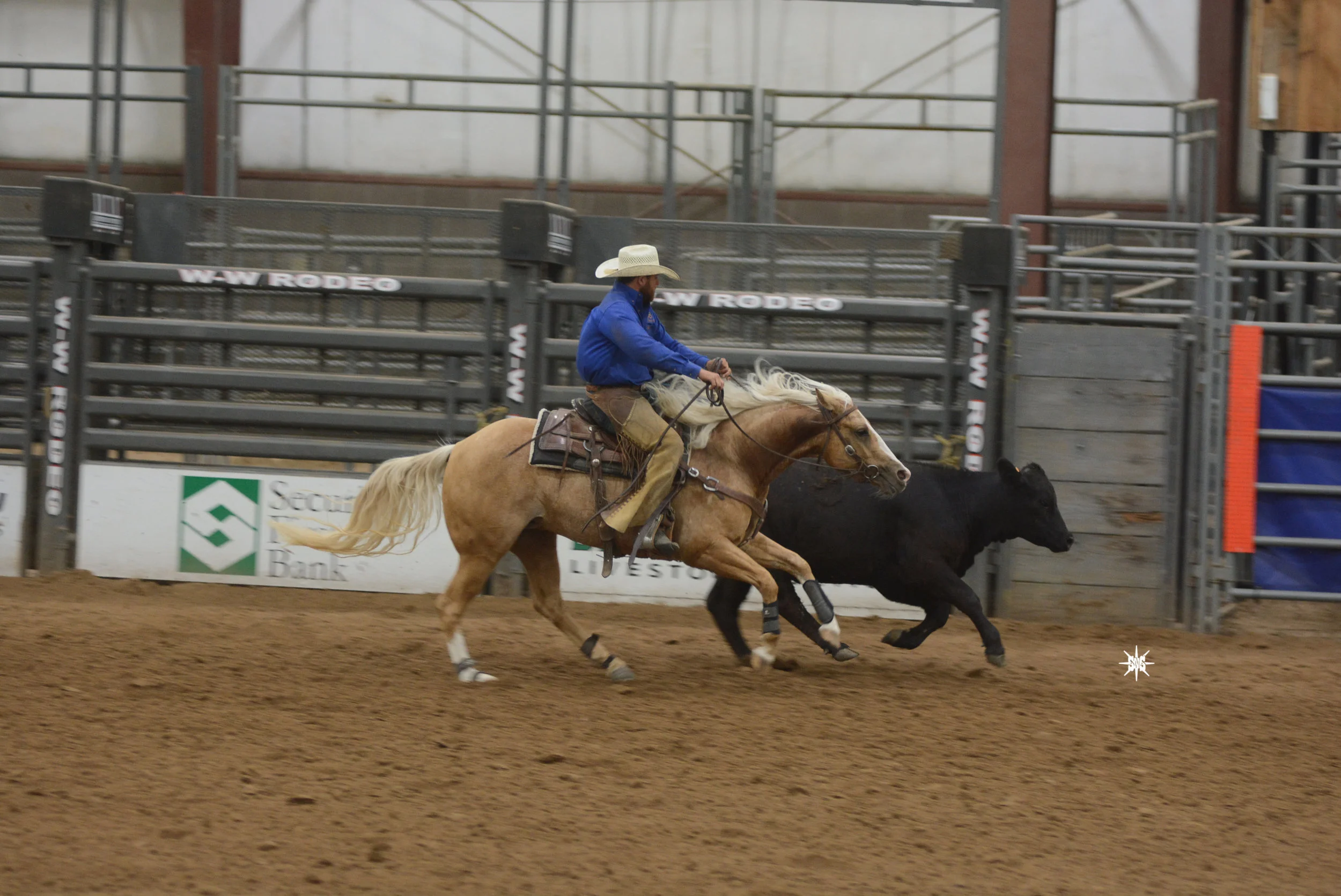 Featured Broodmares — R.A. Brown Ranch