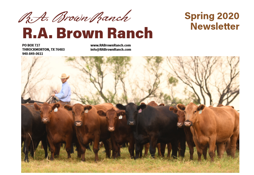 News — R.A. Brown Ranch