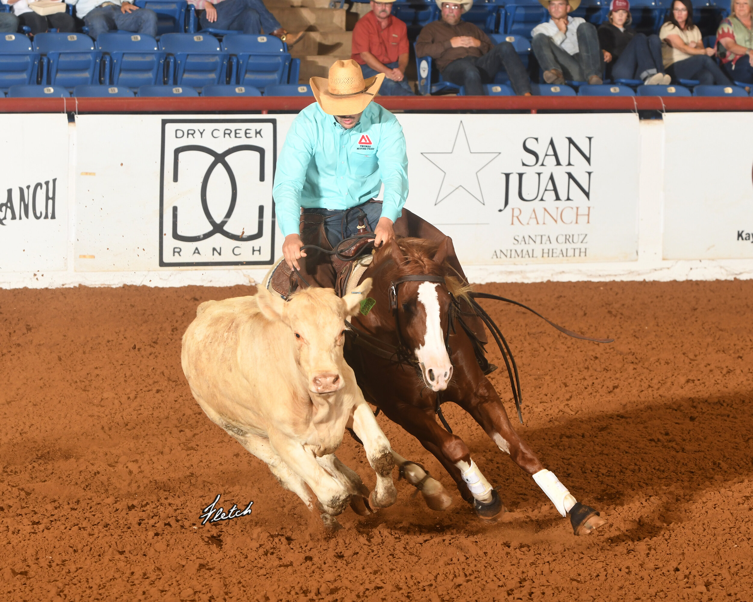 Performance Horses — R.A. Brown Ranch