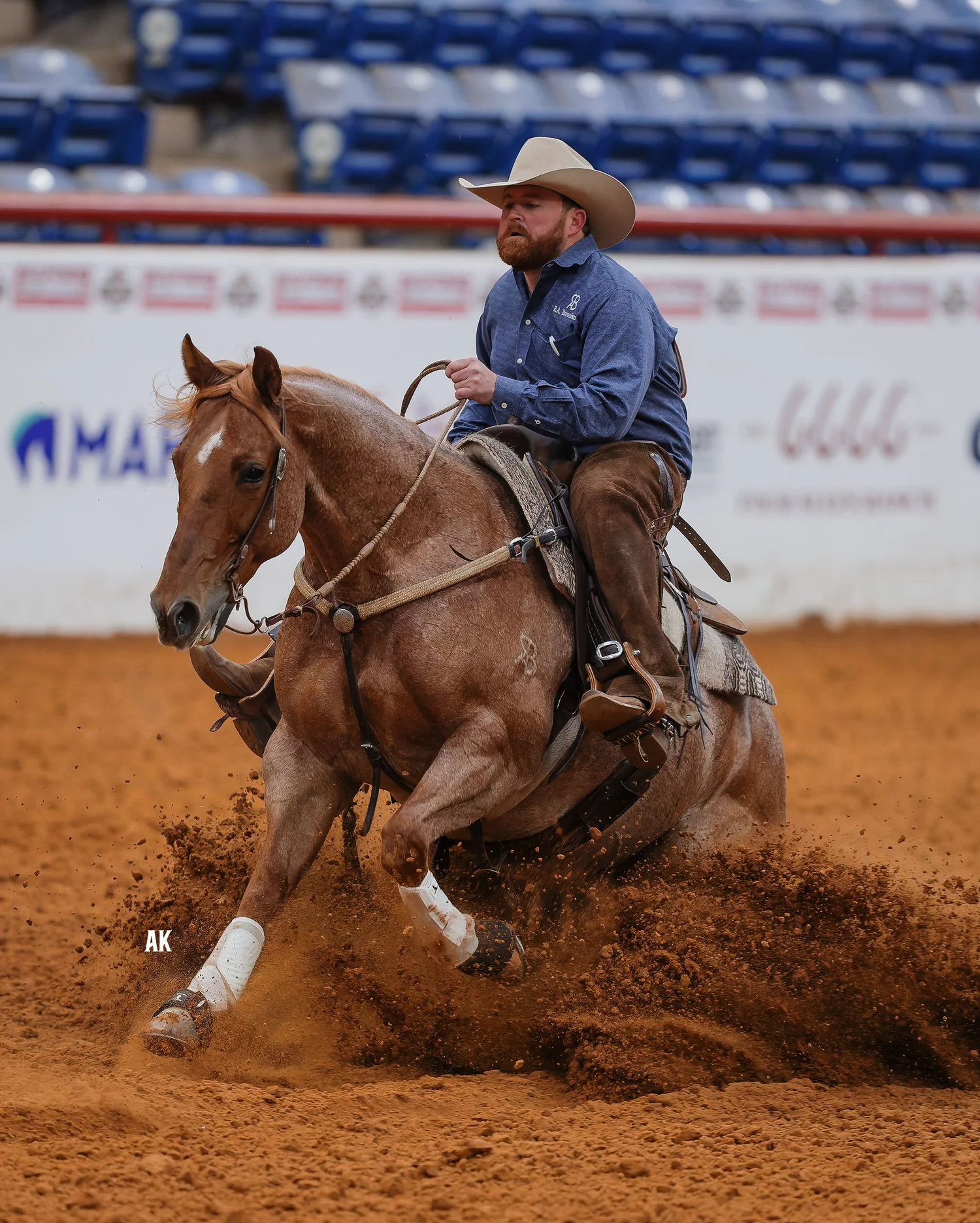 Performance Horses — R.A. Brown Ranch