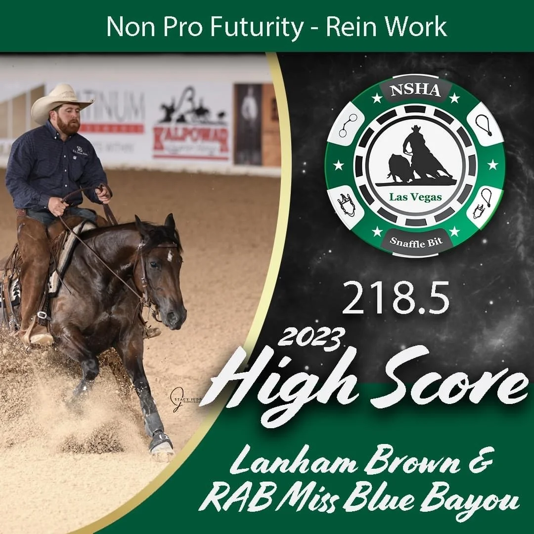 Performance Horses — R.A. Brown Ranch