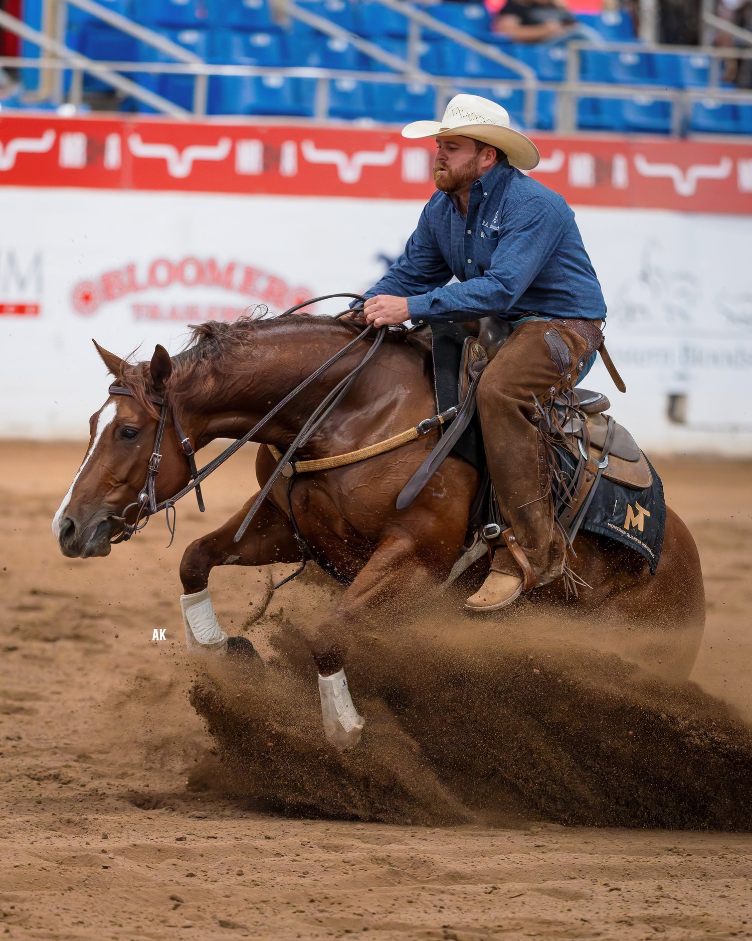 Performance Horses — R.A. Brown Ranch