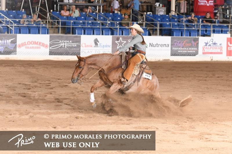 Performance Horses — R.A. Brown Ranch