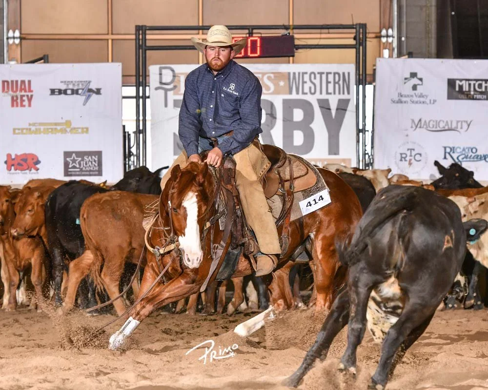 Performance Horses — R.A. Brown Ranch