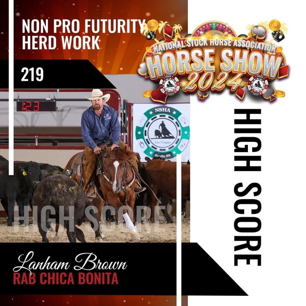 Performance Horses — R.A. Brown Ranch