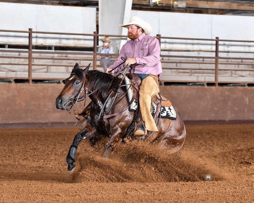 Performance Horses — R.A. Brown Ranch