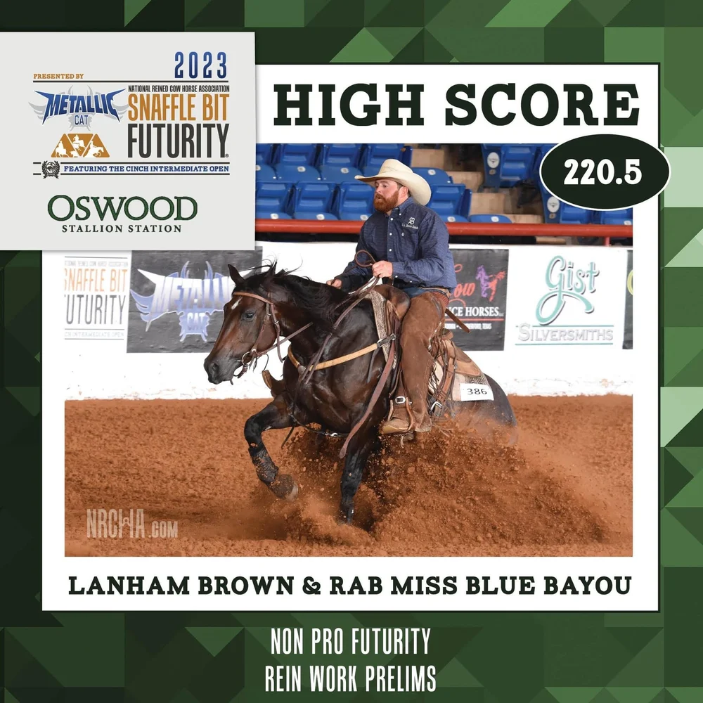 Performance Horses — R.A. Brown Ranch