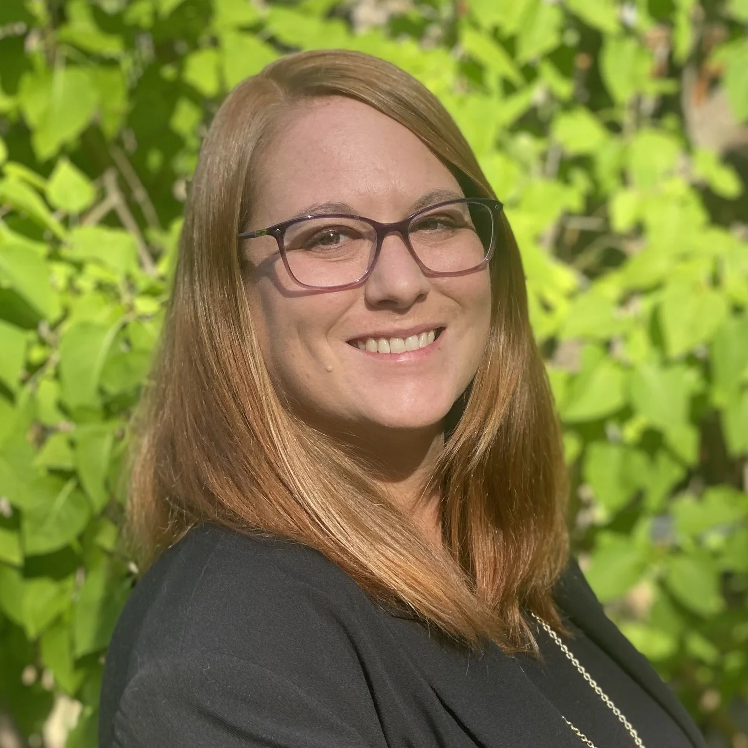 Endorsements – Auburn Area Democratic Club
