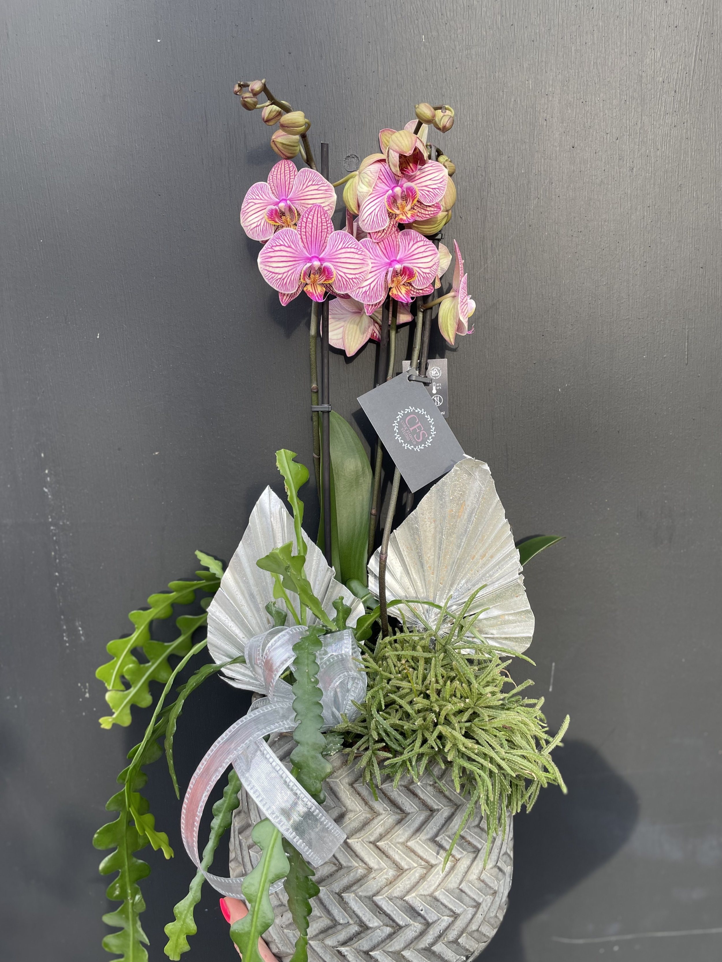 Cork Flower Studio