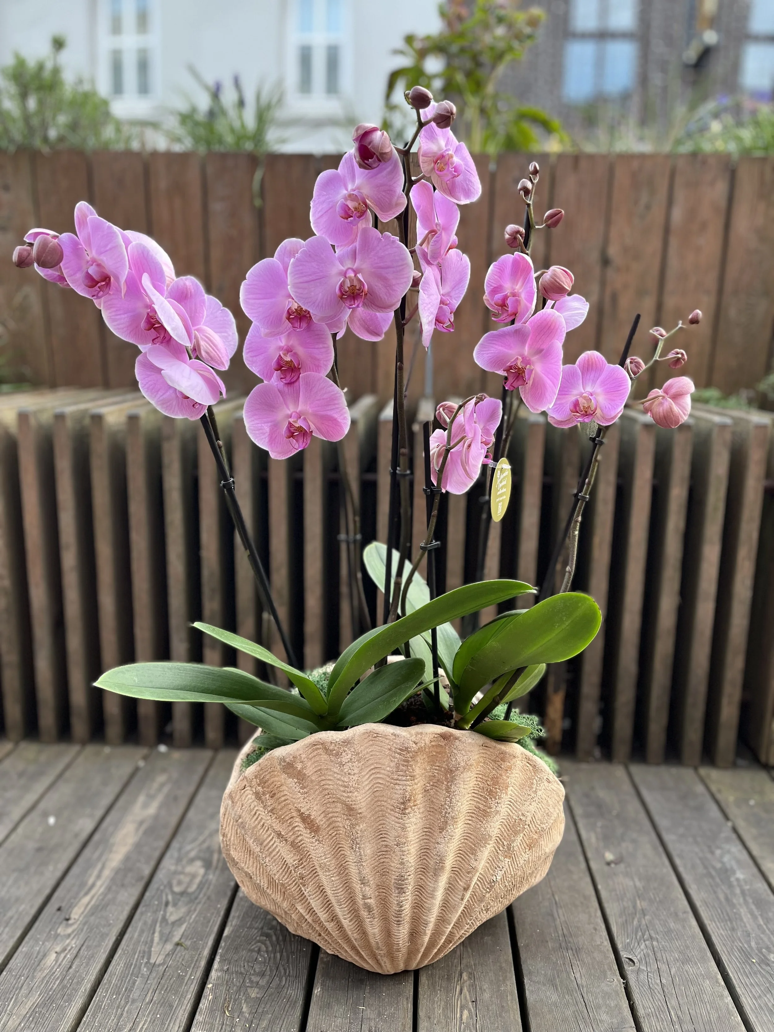 Cork Flower Studio
