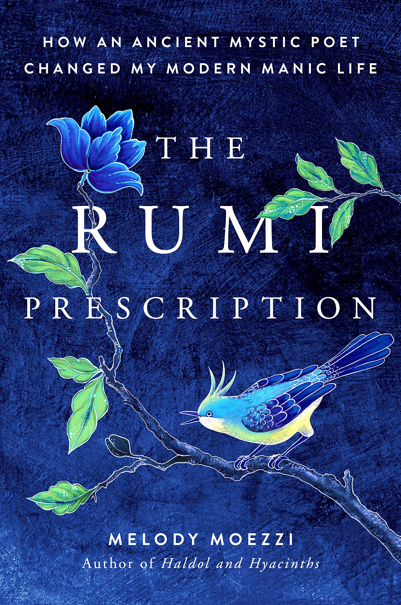 Melody Moezzi — Rumi Rx