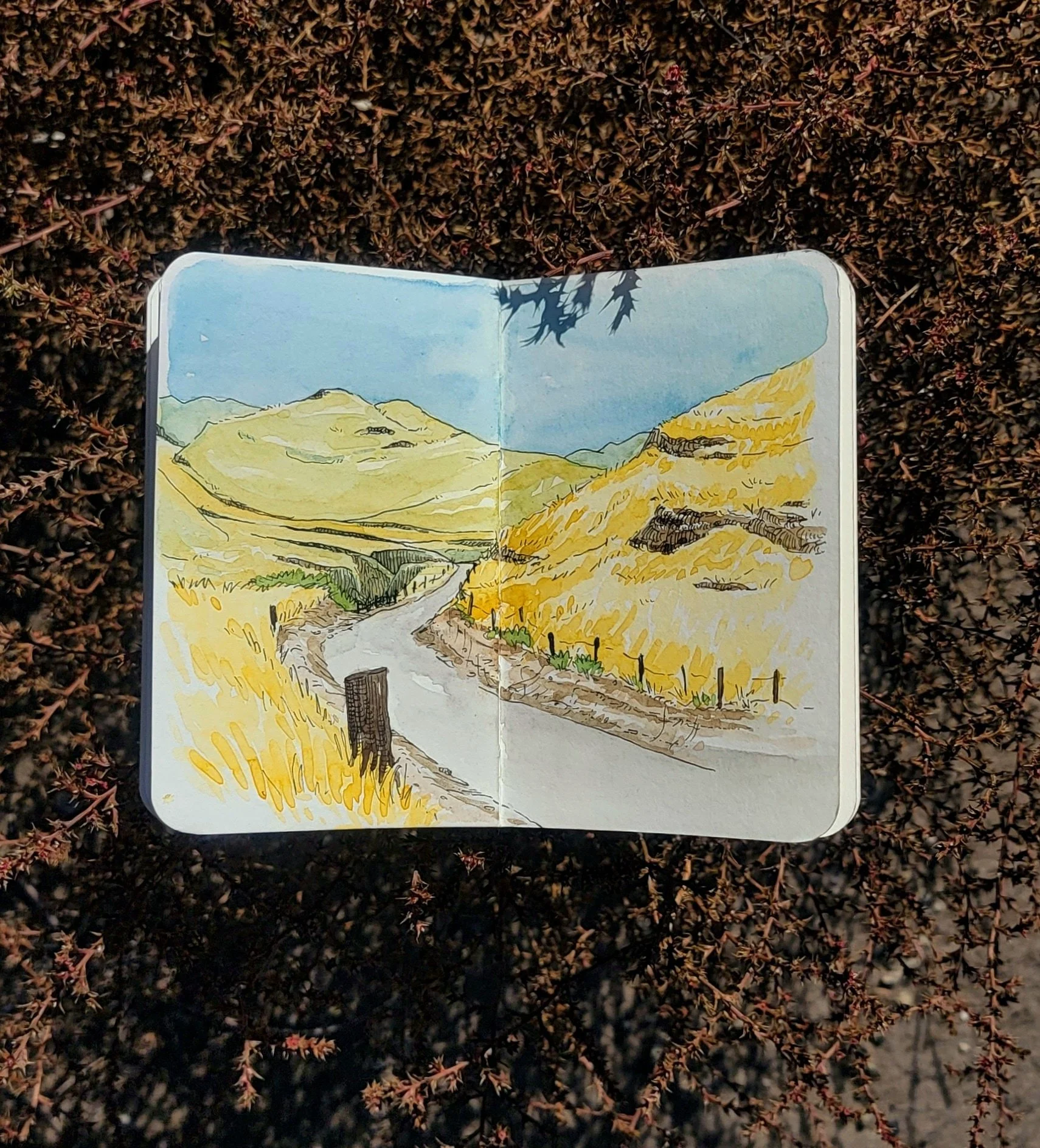 Fisher Creates | Art, Adventure, and Design