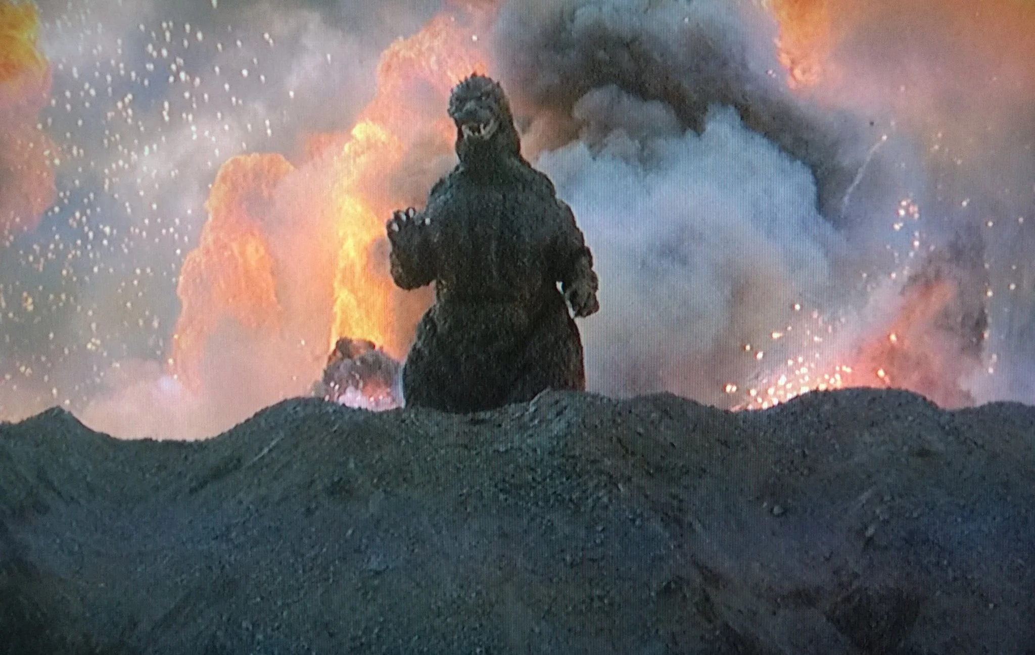 Godzilla Vs Biollante 1989