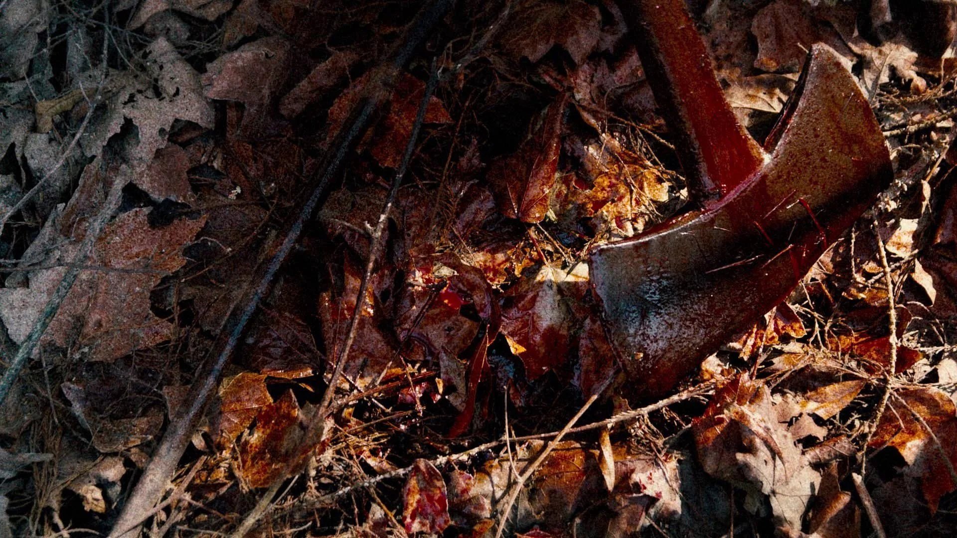 Hatchet Ii