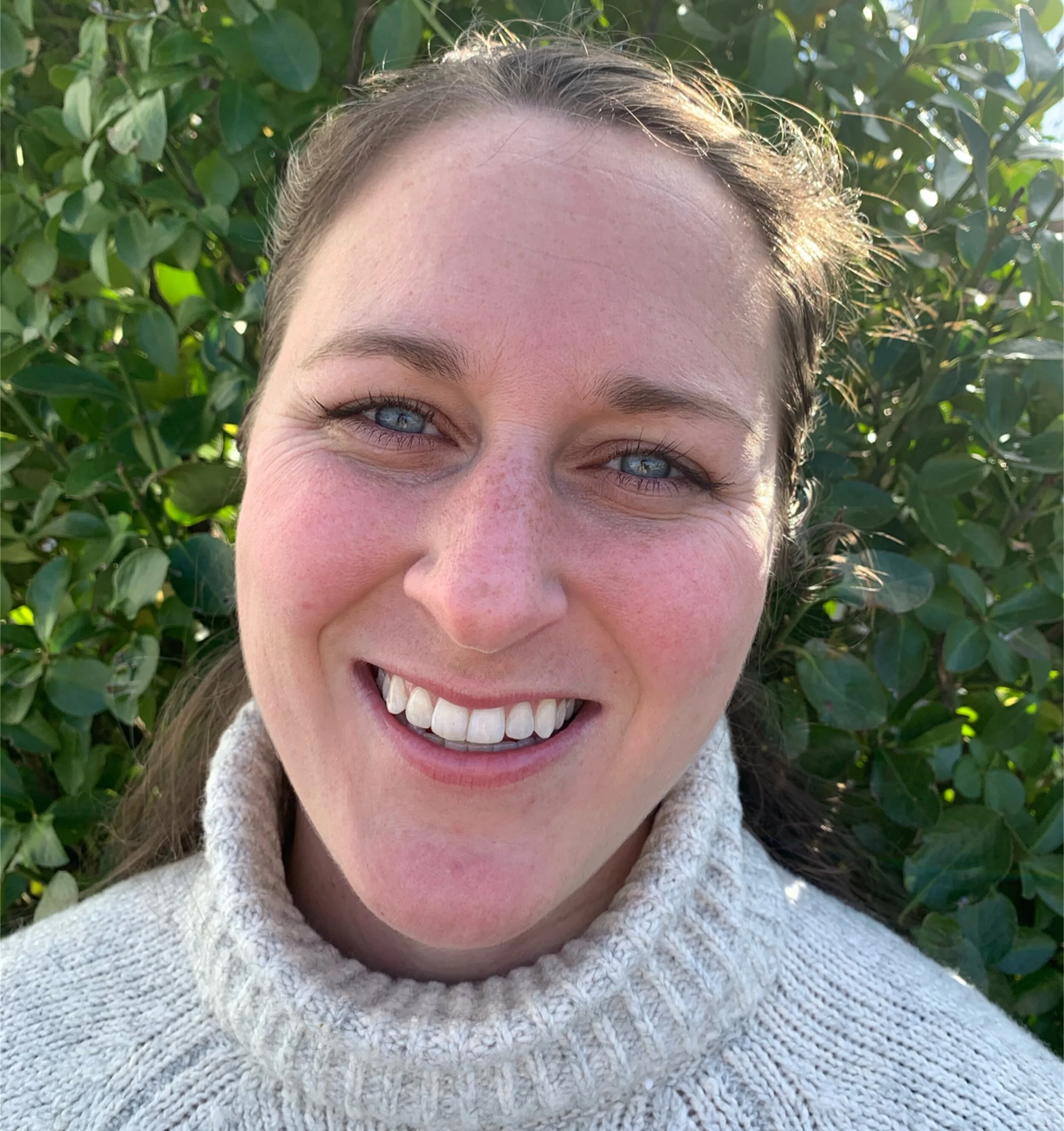 Church Council — THE LIFE