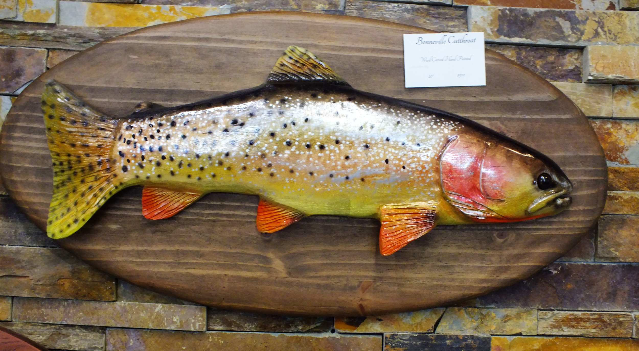 Bonneville Cutthroat Trout