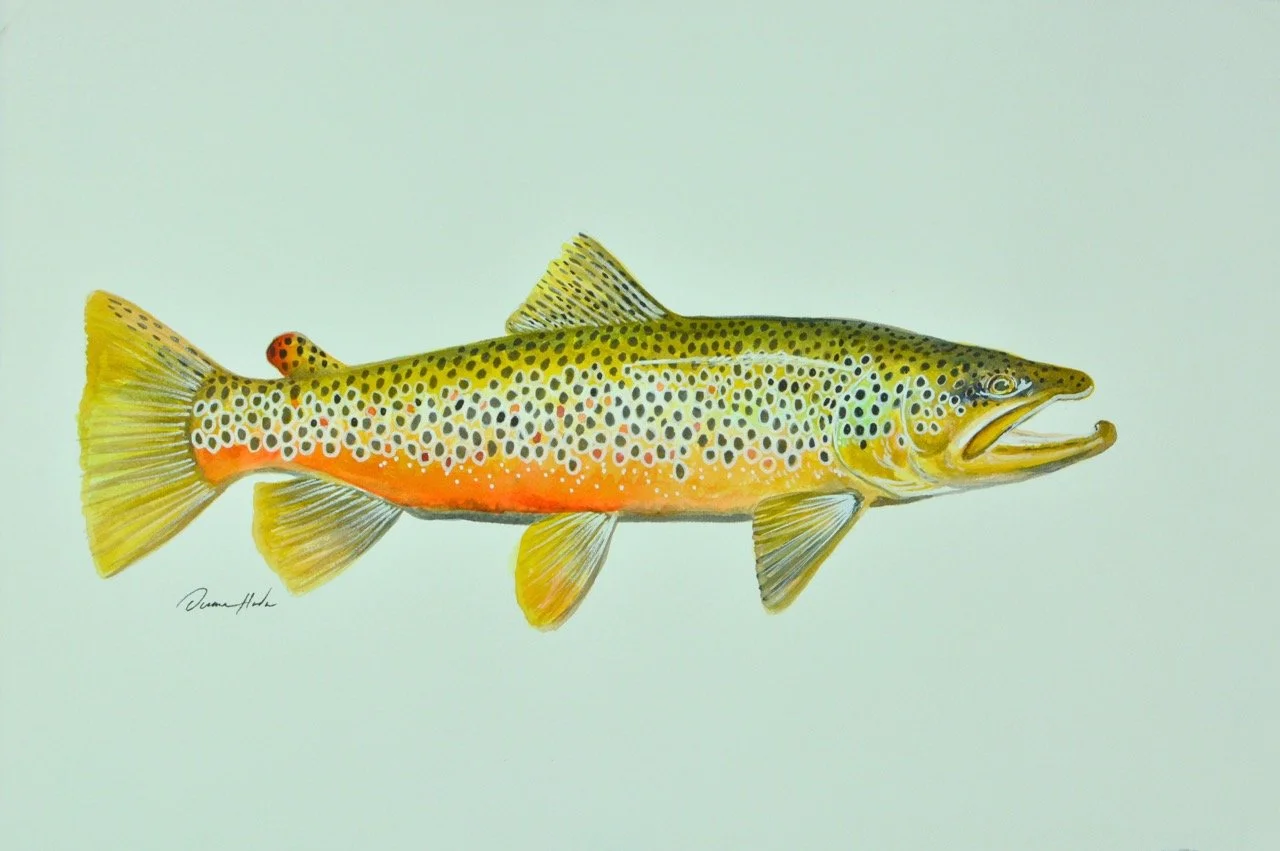 Brown Trout Painting