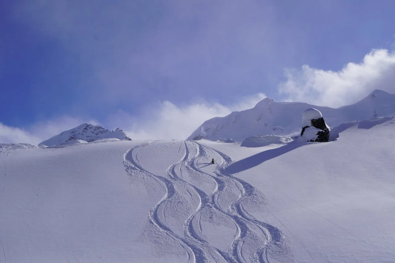 Avalanche Skills PLUS Information - ACMG Certified Mountain Guide in ...