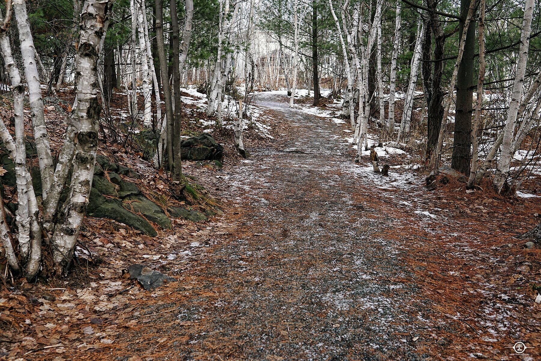 Mallard's Landing — Rainbow Routes Association