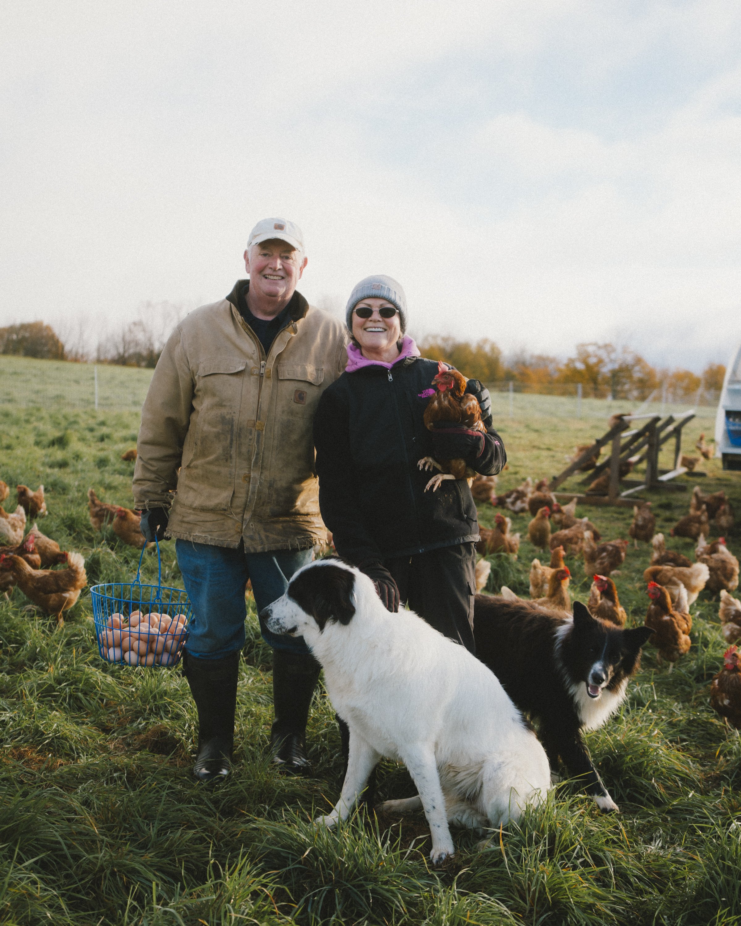 About Us — SOVA Farms