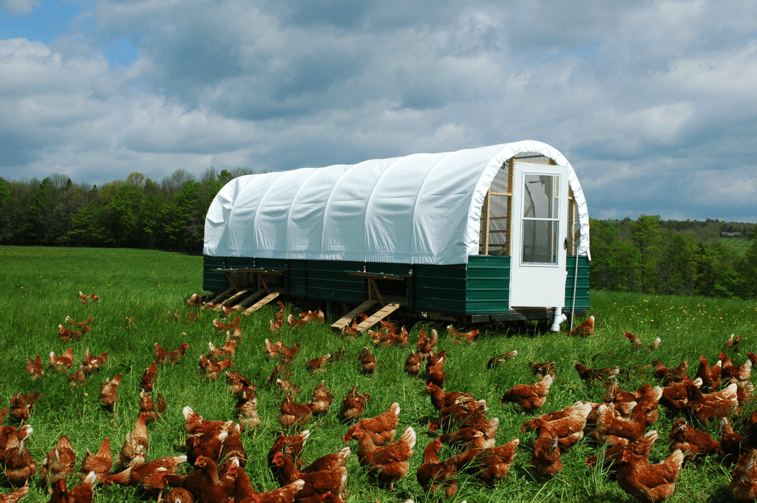 Egg Mobile — SOVA Farms