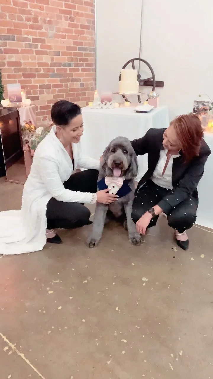 J. Andrade Visual Arts - Houston Elopement Photographer