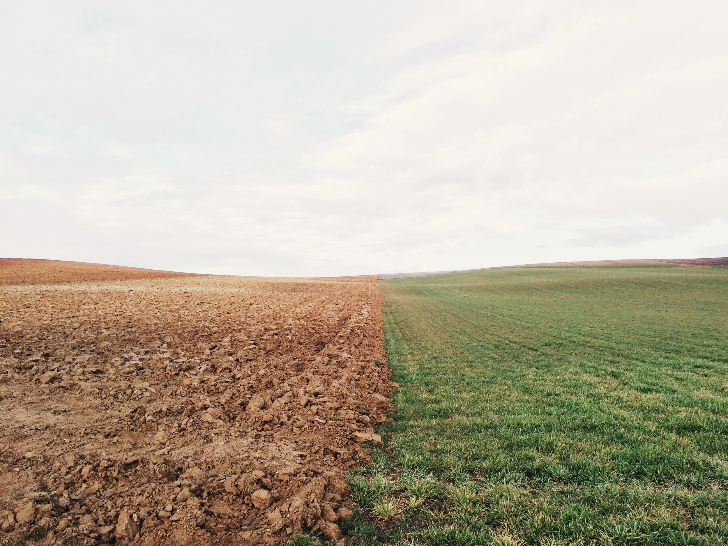 The Art of Moderation — Mind Body Well