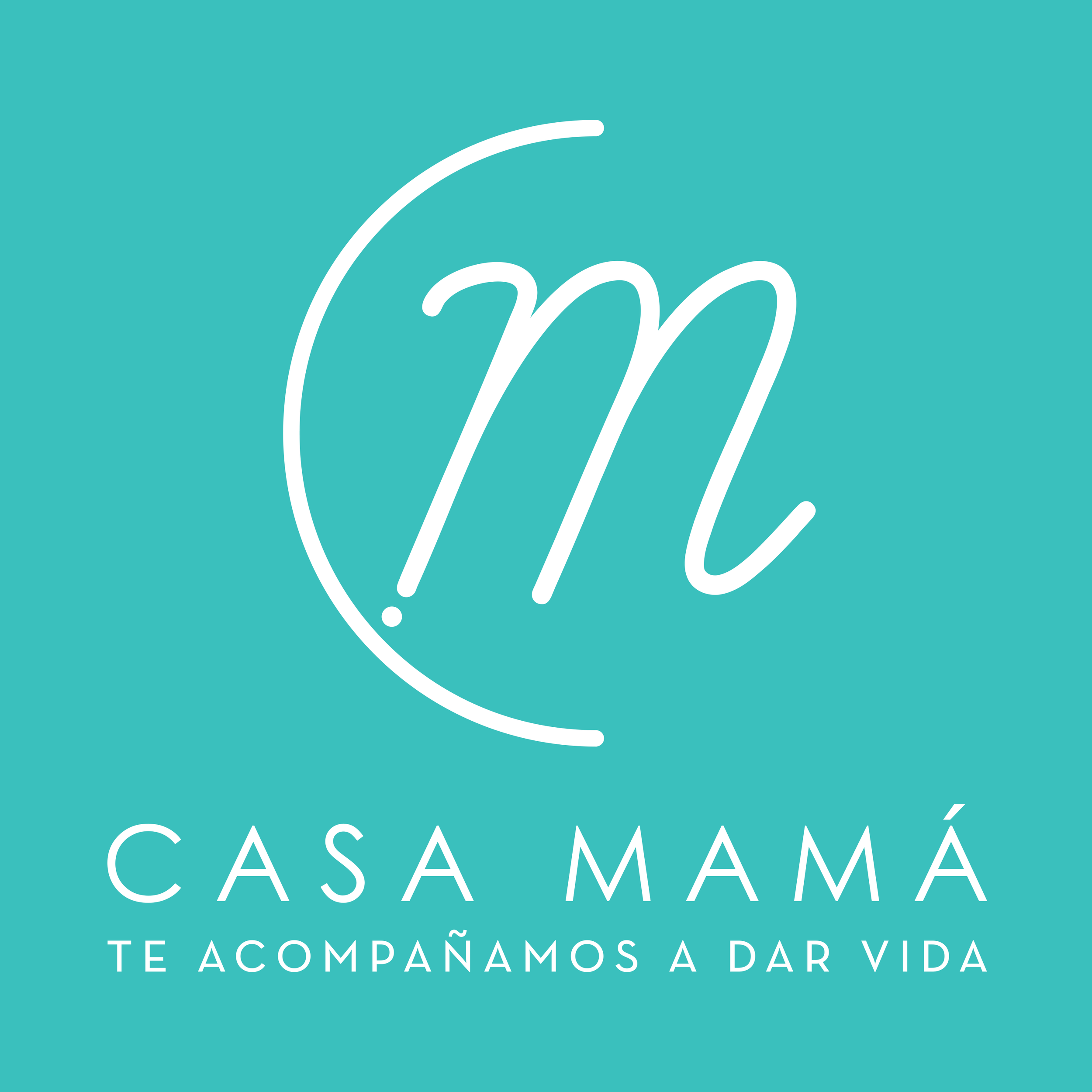 Casa Mamá