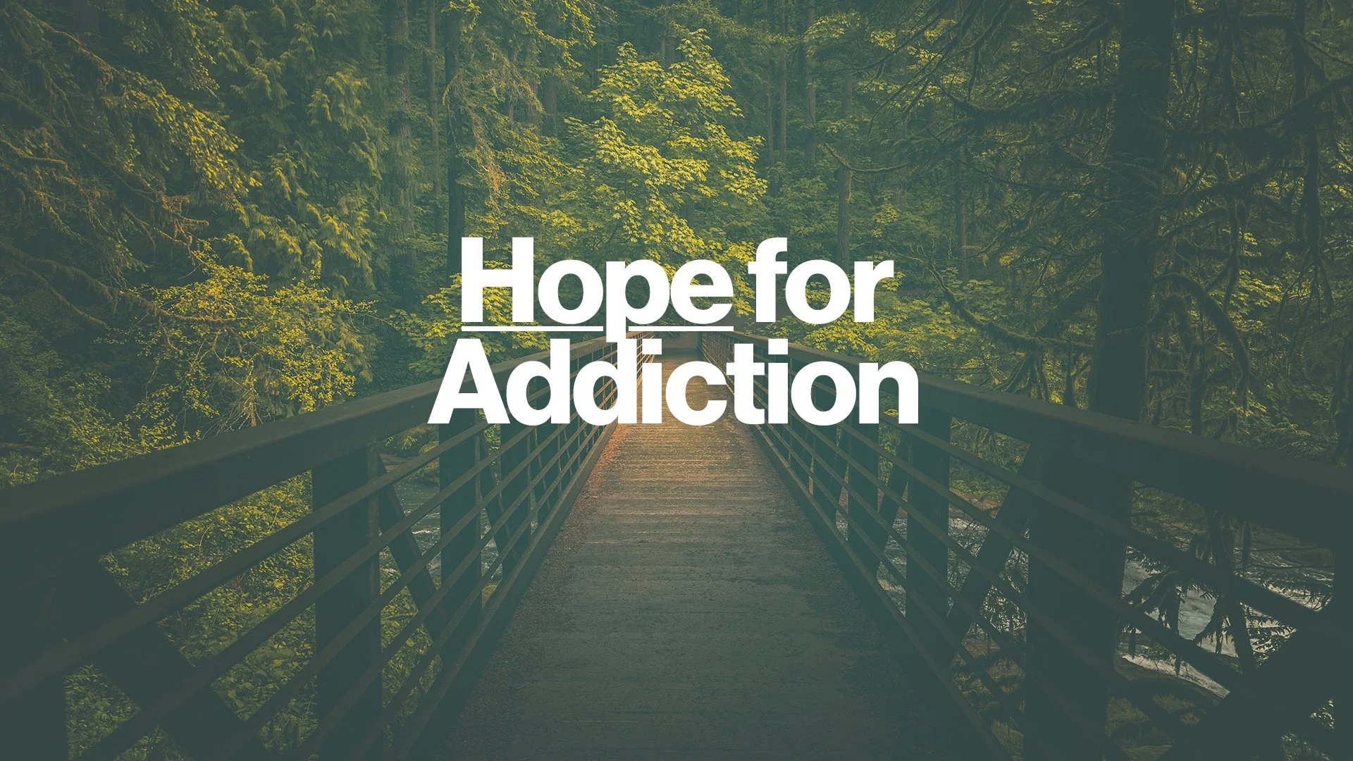 The Bridge Bible Church