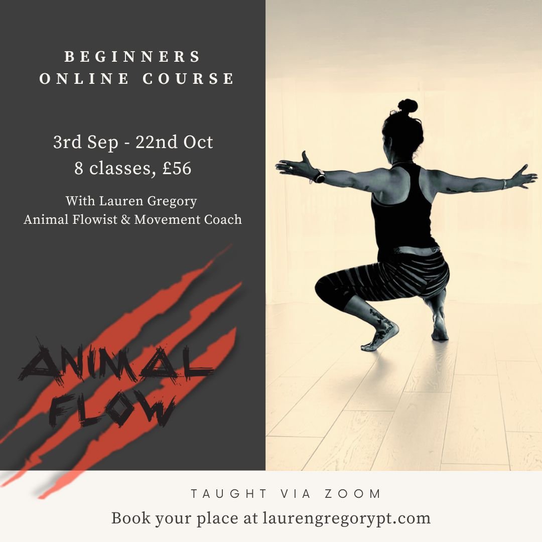 Animal Flow — Lauren Gregory Fitness Coach Leamington & Warwick
