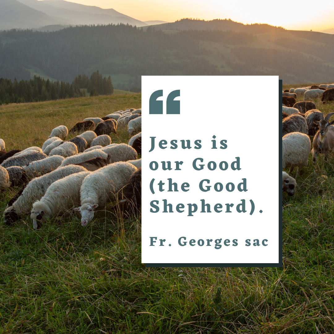 January 6, Tuesday after Epiphany Mark 6:34-44 — HOLY REDEEMER CHURCH