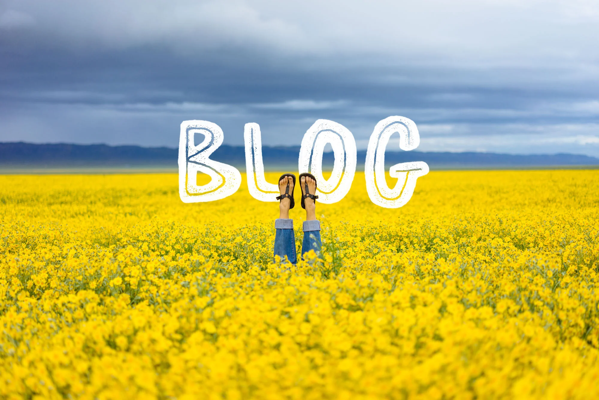 Blog — Bound For Nowhere