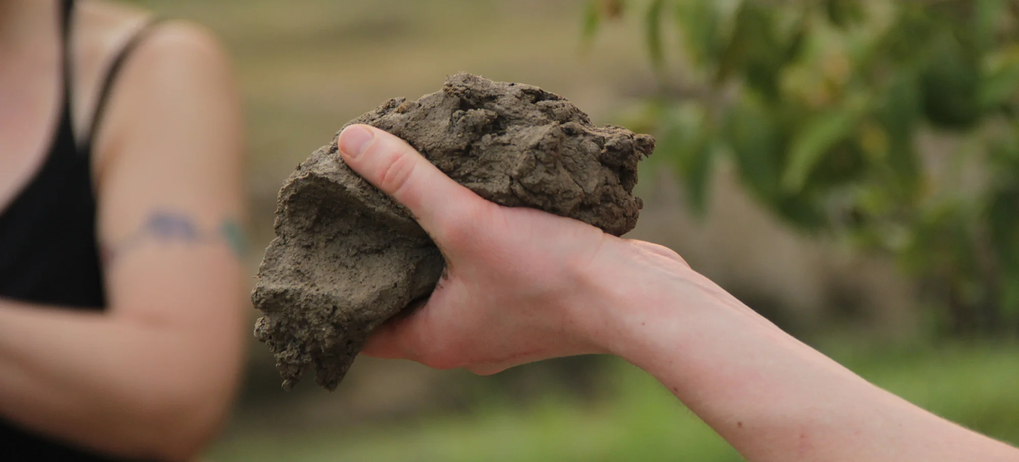 Barro..Clay — casawabi