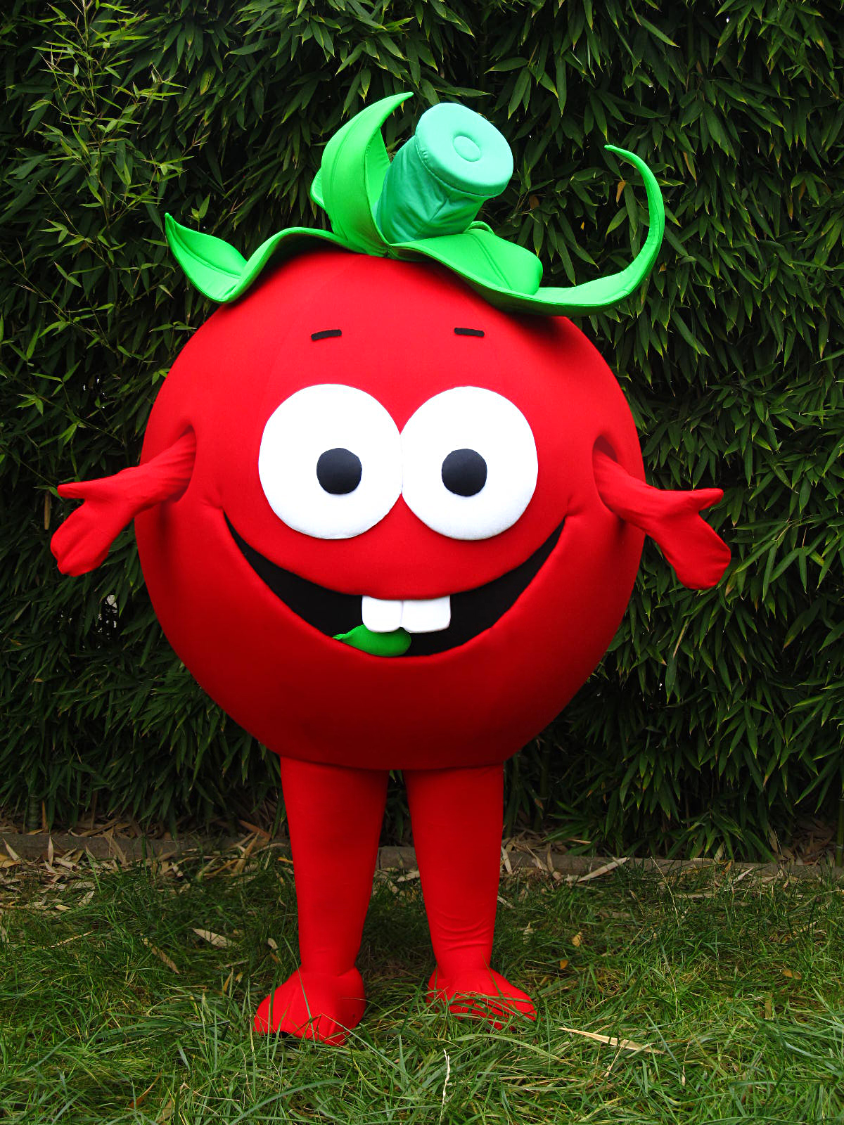 Maskote Kuća Lutaka