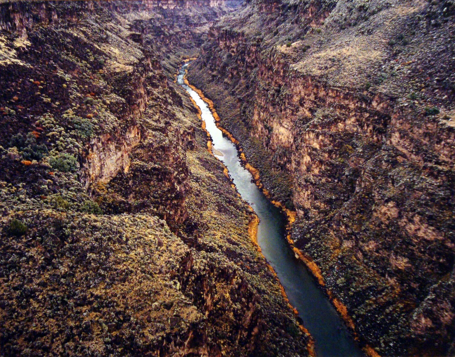 Christopher Burkett Fine Art Photography — Michael Ingbar Gallery