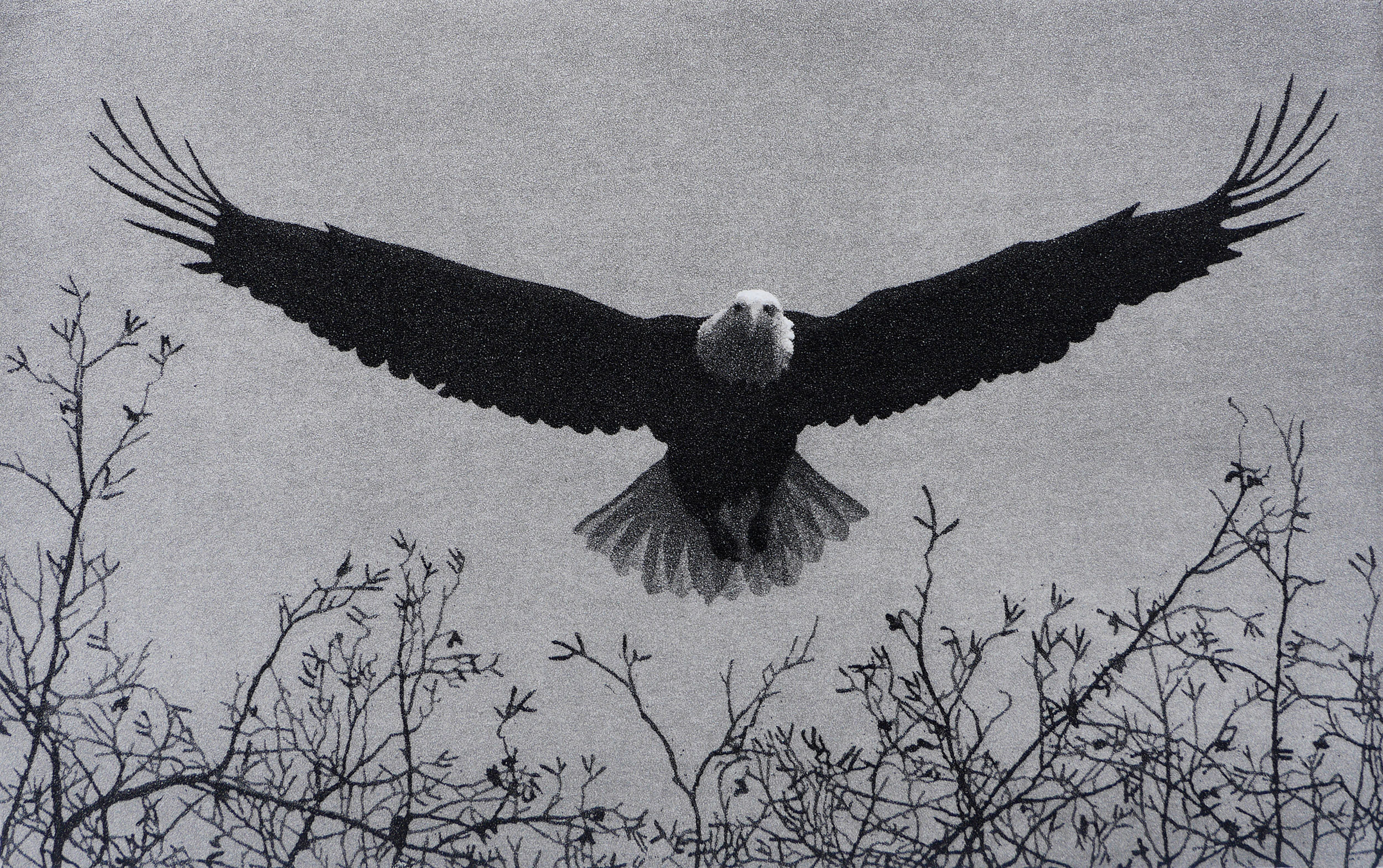 Stephen McMillan — Nancy Dodds Gallery