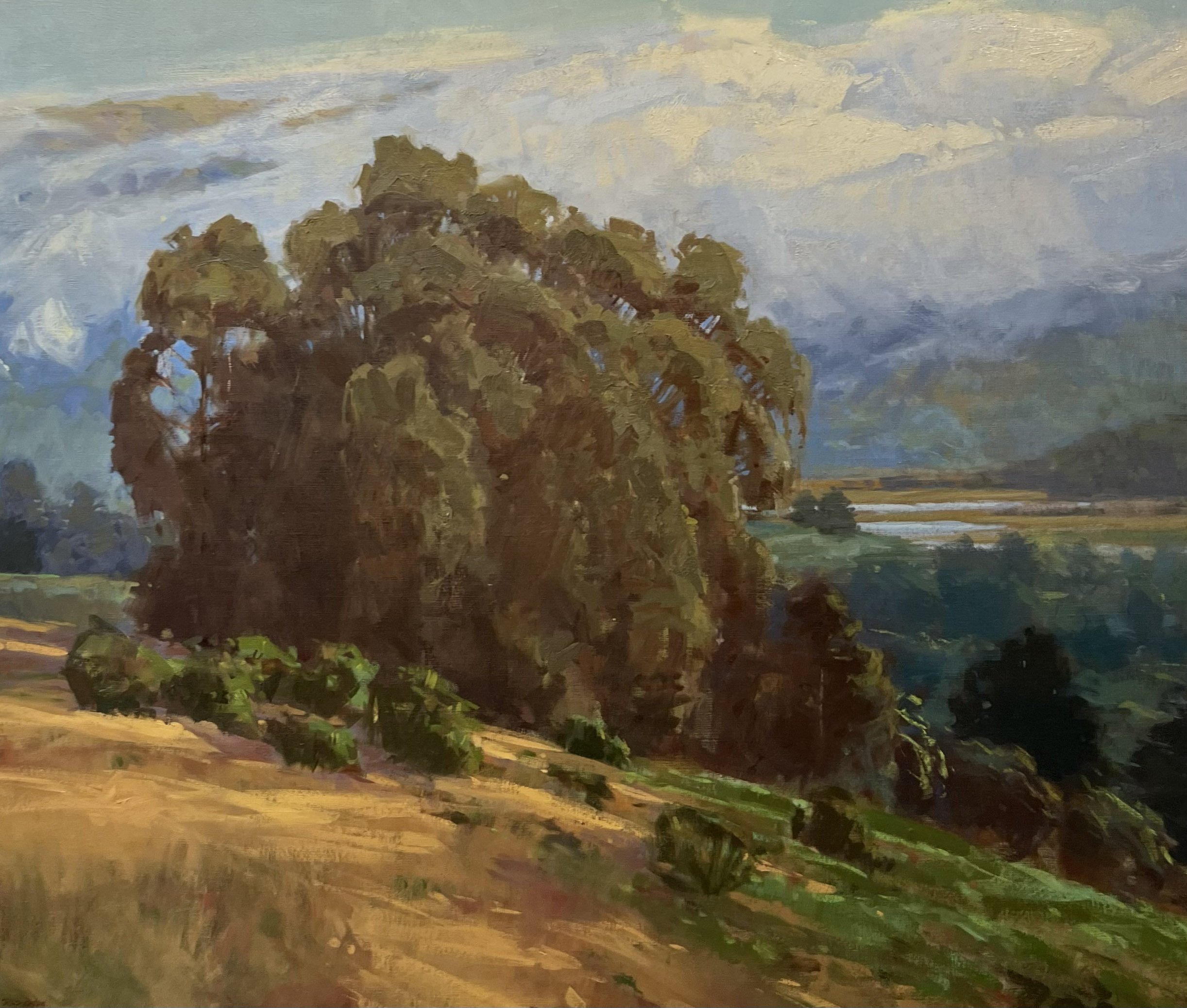 Randall Sexton — Nancy Dodds Gallery