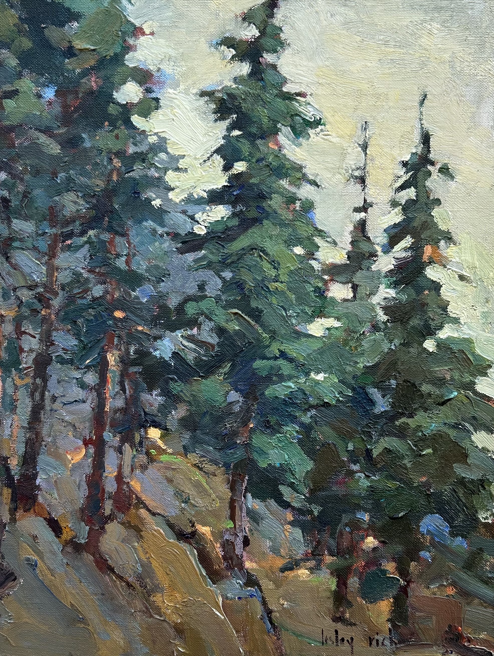 Lesley Rich — Nancy Dodds Gallery