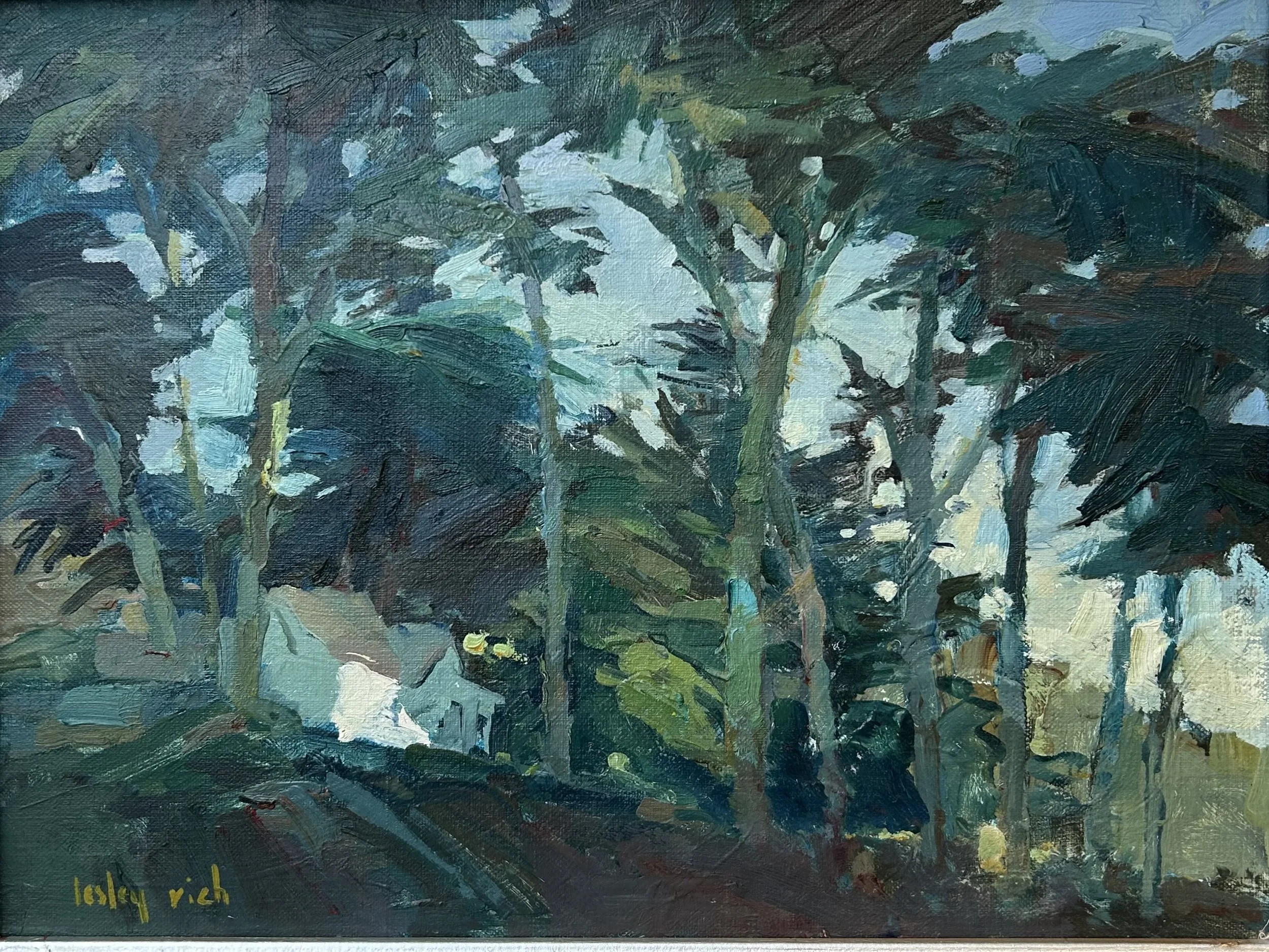 Lesley Rich — Nancy Dodds Gallery