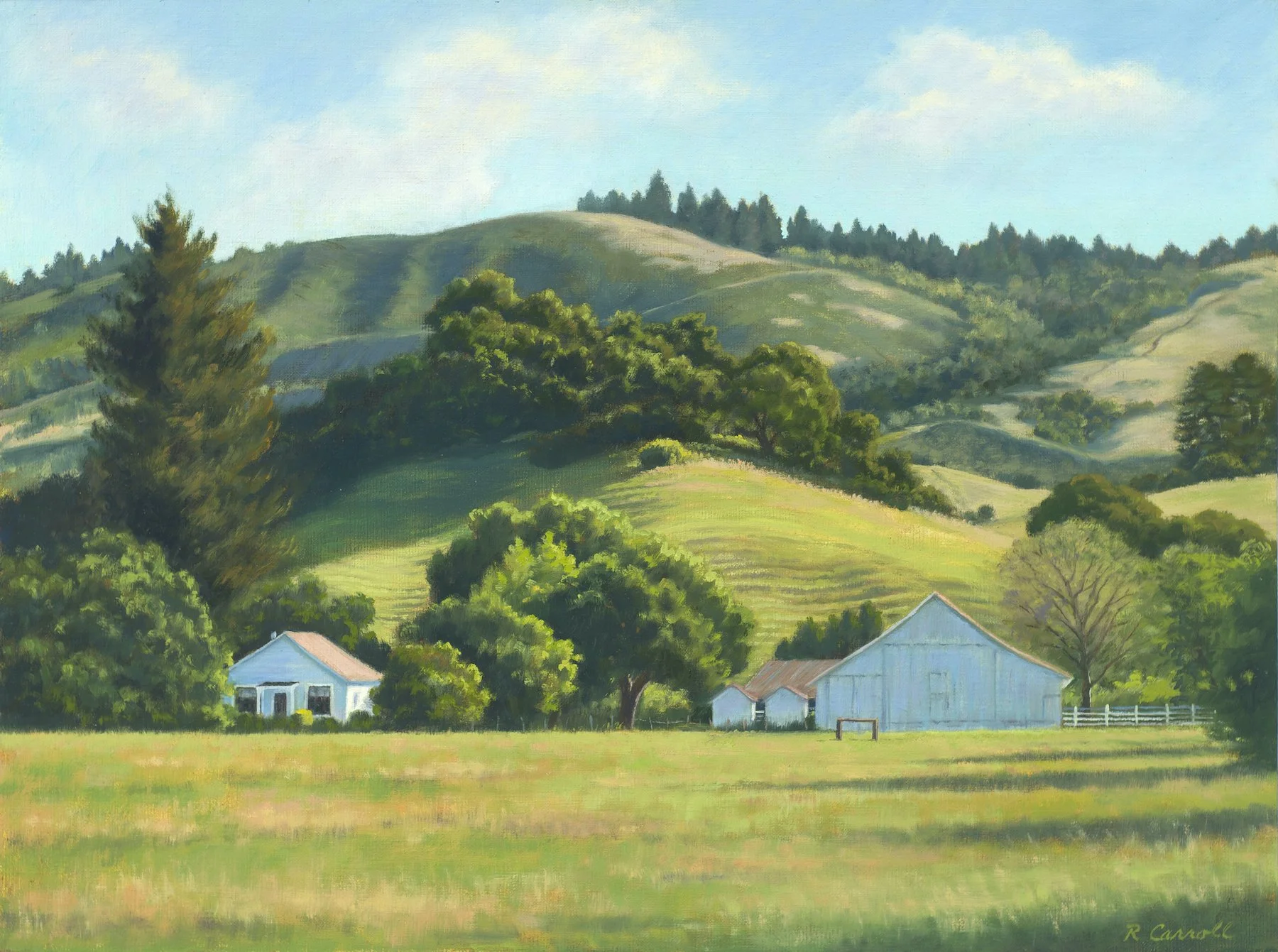 Ruth Carroll — Nancy Dodds Gallery