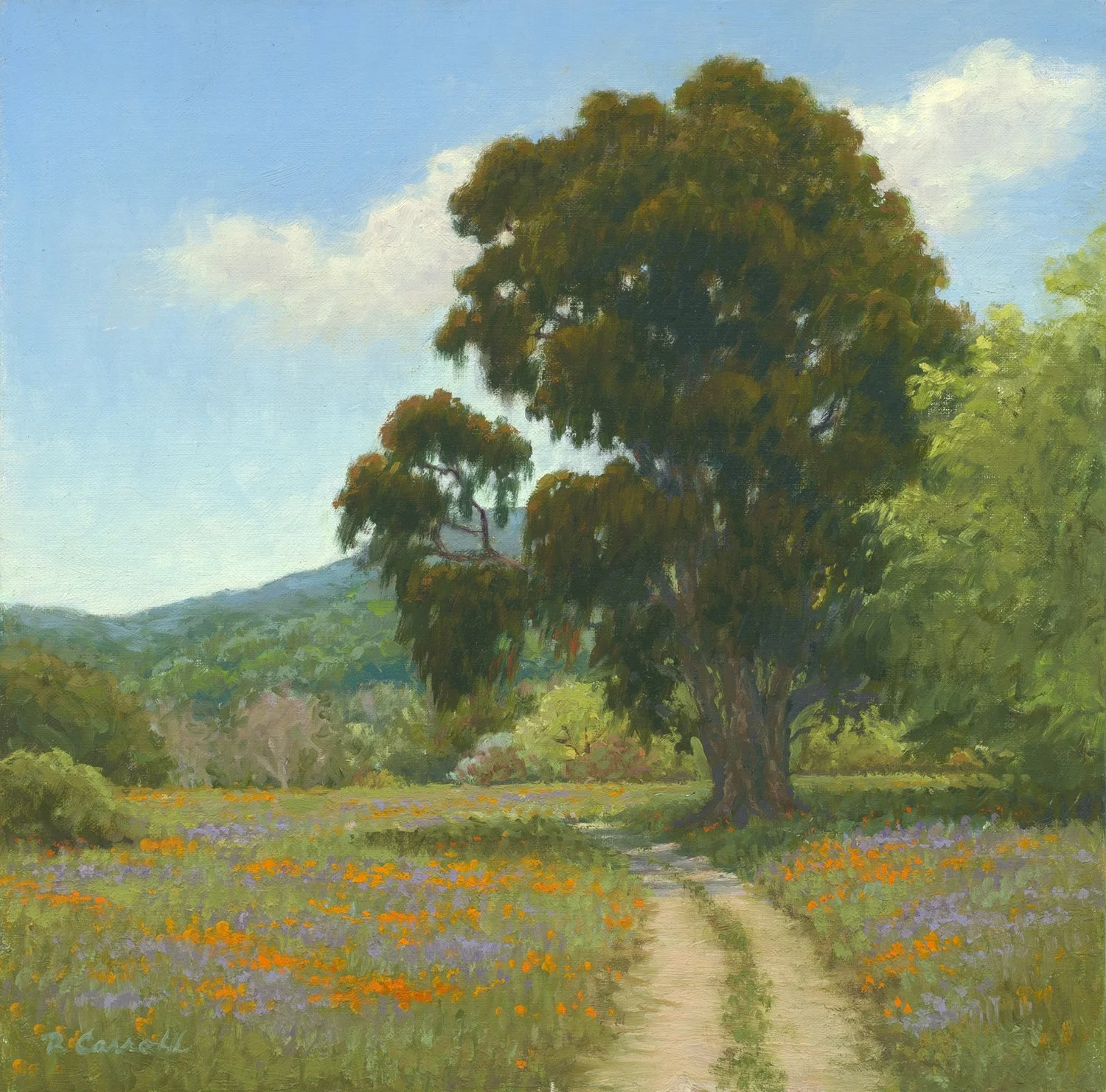 Ruth Carroll — Nancy Dodds Gallery