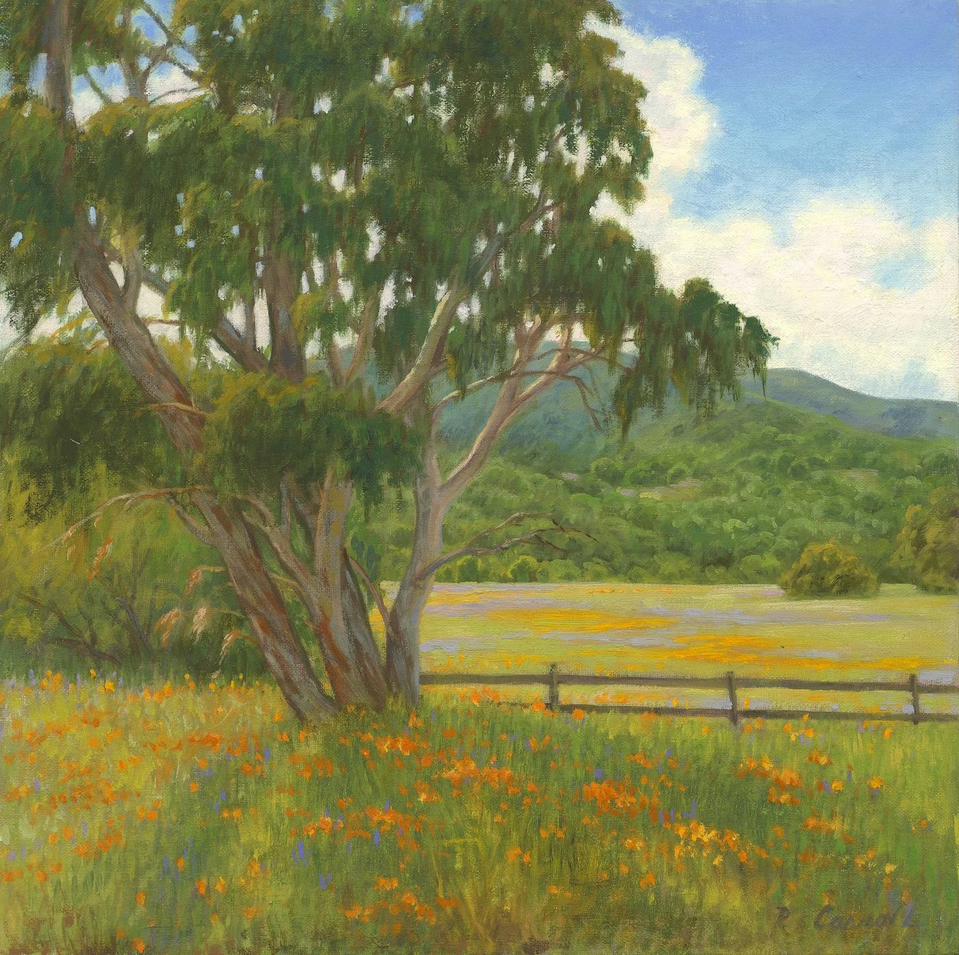 Ruth Carroll — Nancy Dodds Gallery