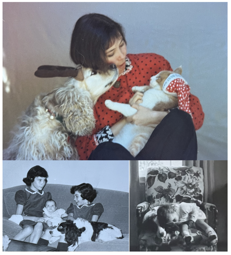 Nancy Dodds — Nancy Dodds Gallery