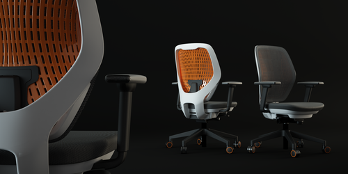 MUMA Task Chair — Curve ID