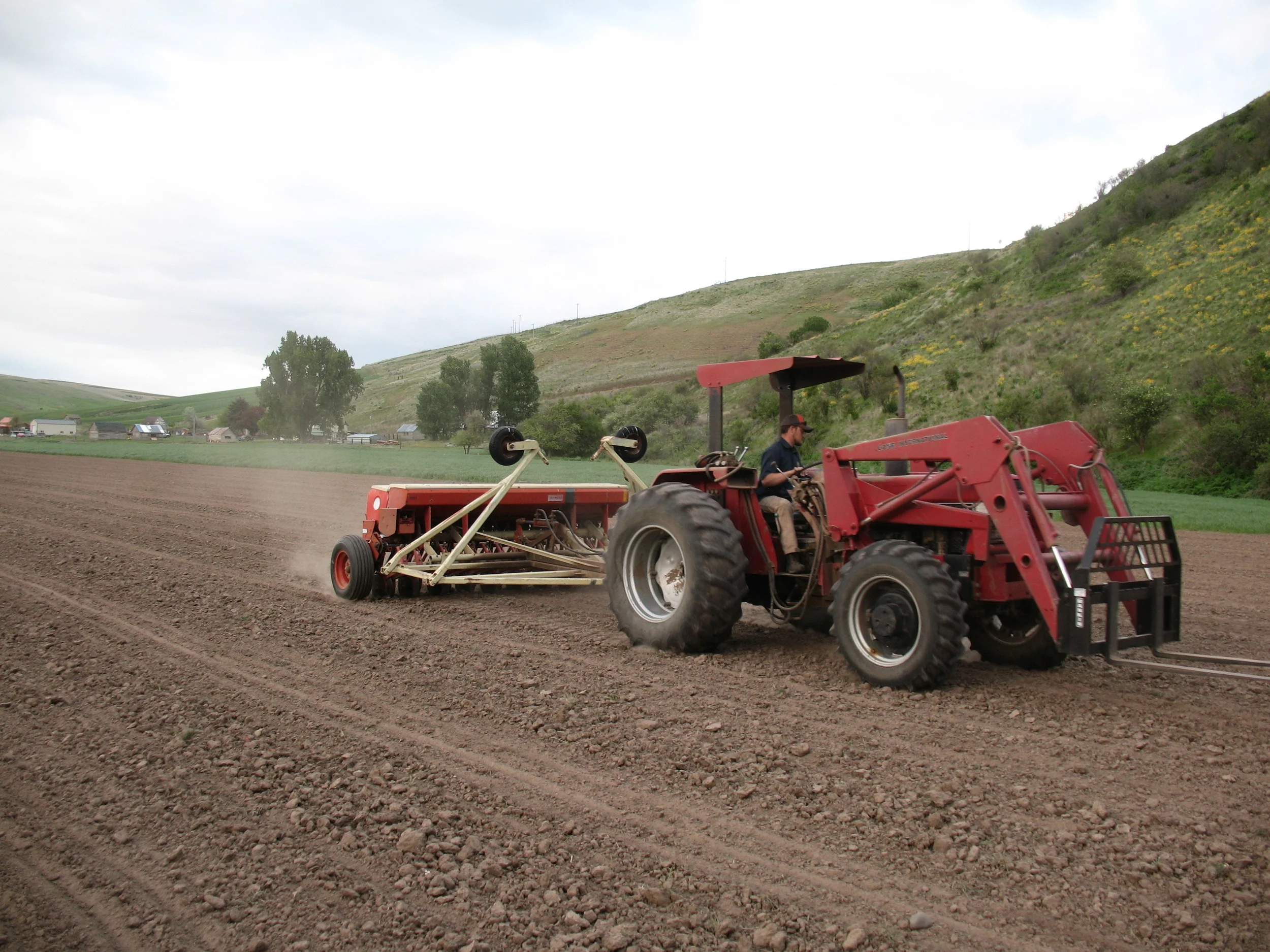 About Palouse Heritage | Regeneratively Grown Heritage Grains from ...